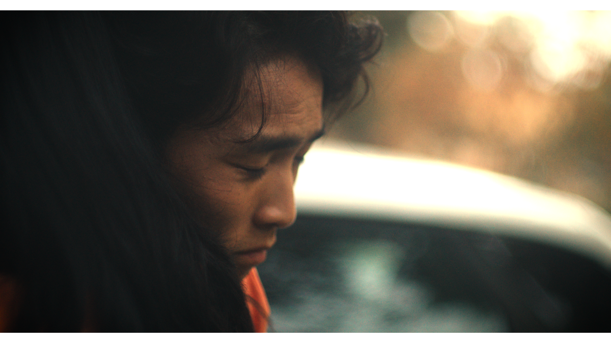 绽放 To Freely Flourish