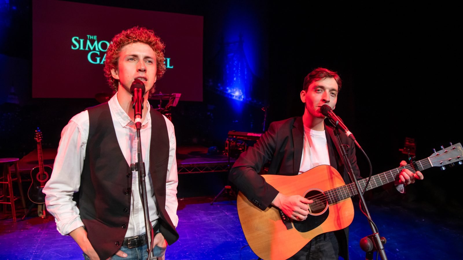 The Simon & Garfunkel Story